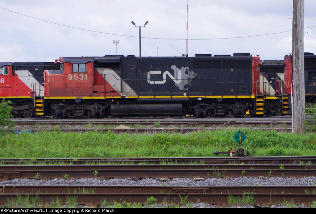 CN 9531